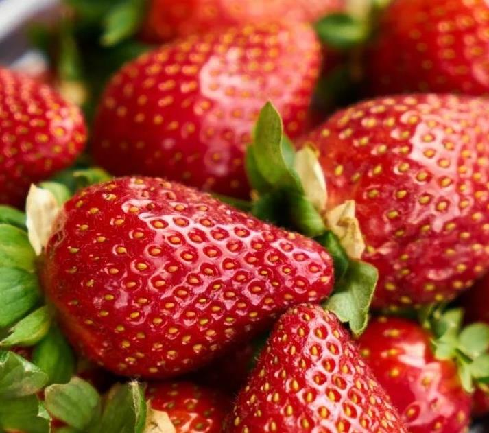 STRAWBERRY 250g | Jordan Farms