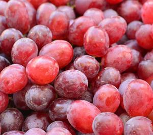 Fruits - Starcrest Farm